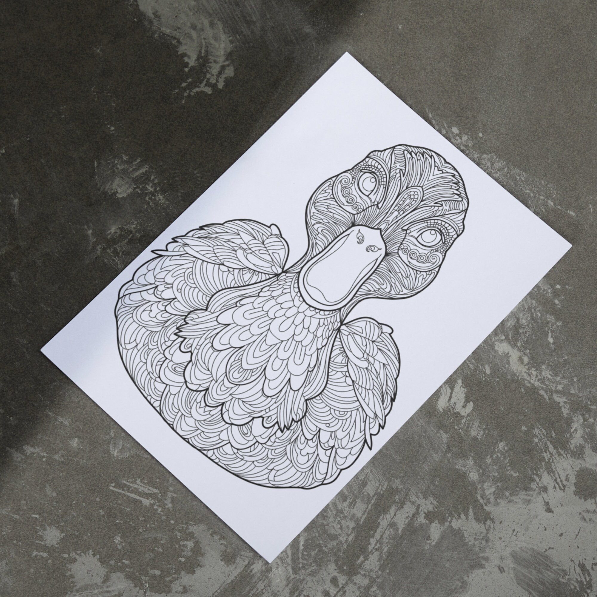 Duck Mandala Coloring Page Meditation Stress Relief - Etsy