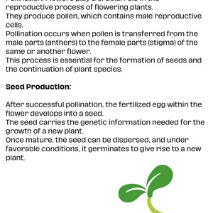 Plant Life Cycle & Photosynthesis Workbook (digital Download) - Etsy