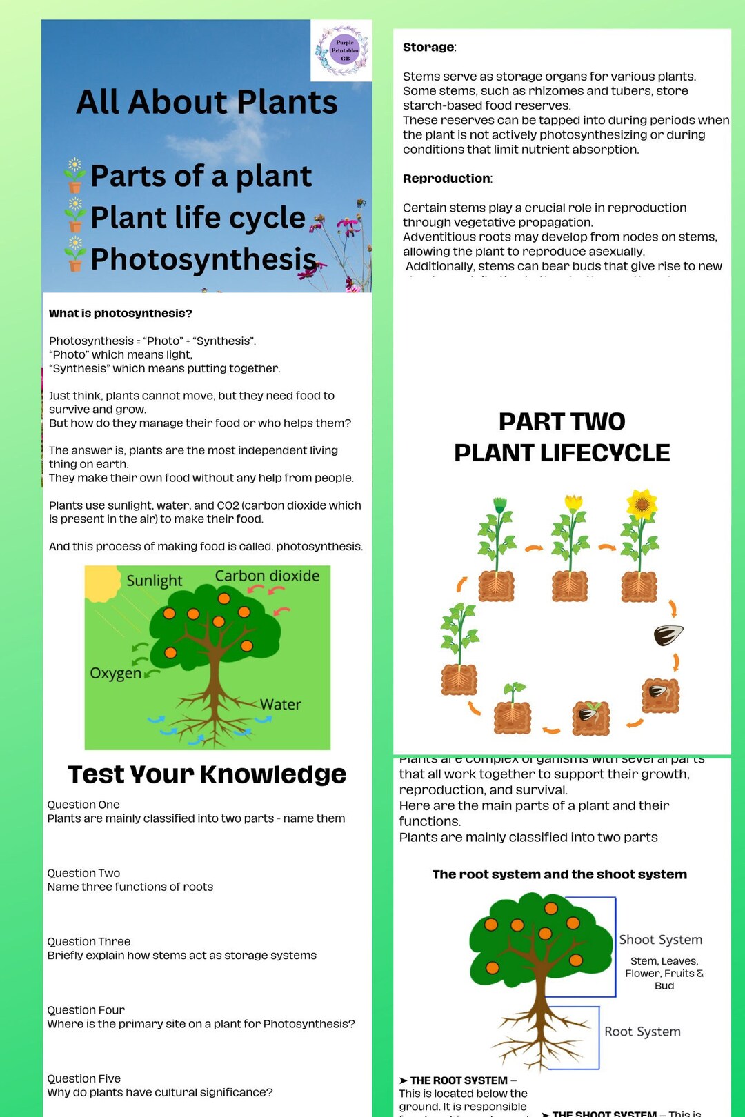 All About Plants. Lifecycle. Photosynthesis. Science Resource for Young ...