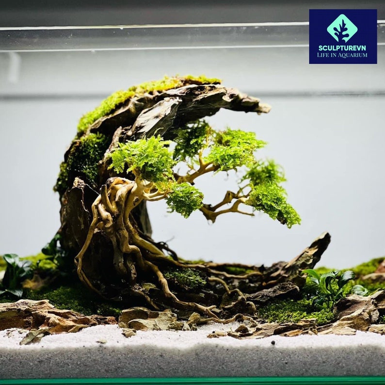 Driftwood Aquascape Tree: Fish Tank Aquarium Decor - Etsy