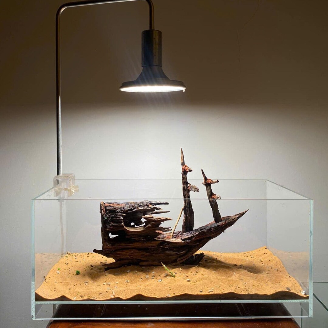 Aquarium Unique Ideasshipwreck Idea,aquascape Ideas, Aquarium Decor ...