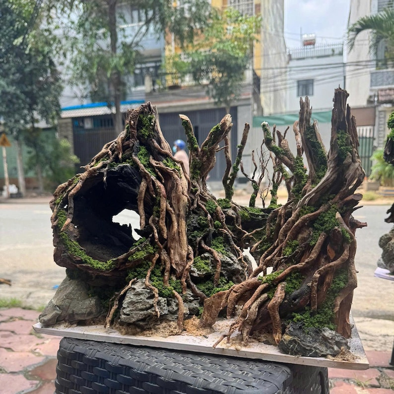 Aquascape Aquarium Decor: Driftwood & Stone With Artificial Plants - Etsy