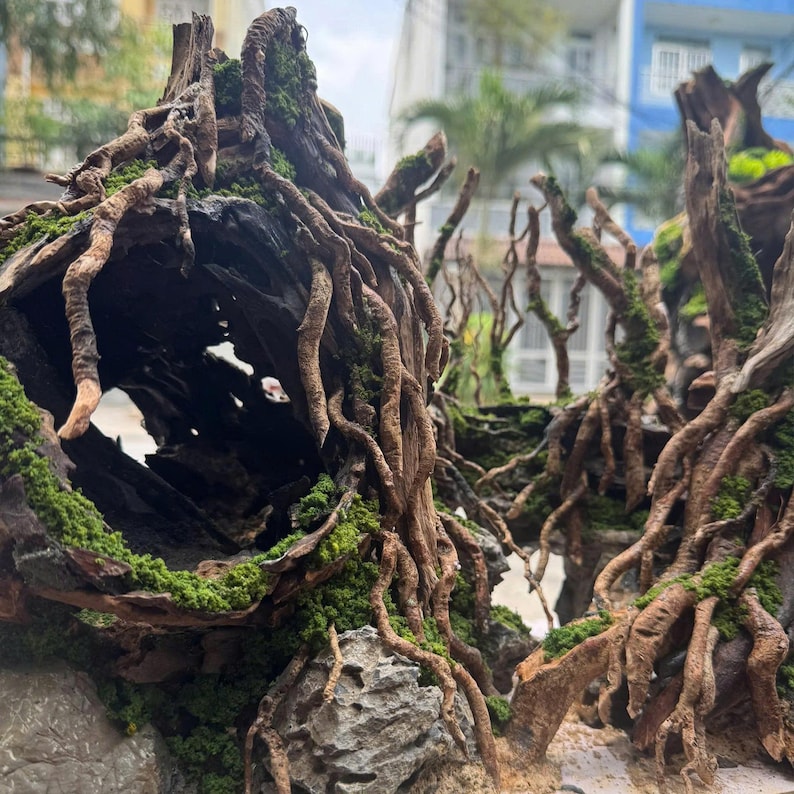 Aquascape Aquarium Decor: Driftwood & Stone With Artificial Plants - Etsy