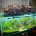 Handcrafted Floating House for Aquarium: Vietnamese Decor - Etsy