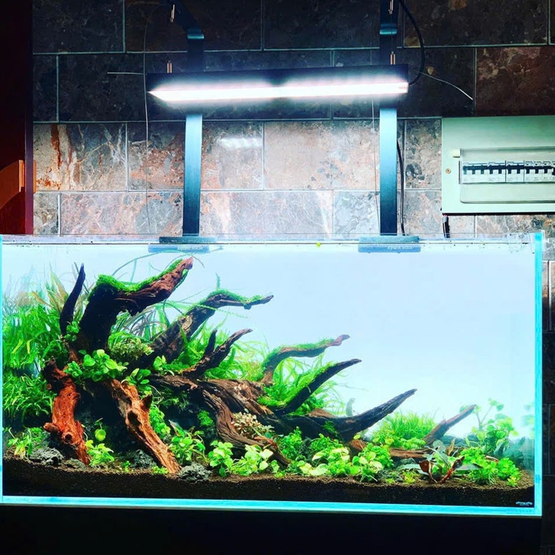 Natural Aquarium, Aquascaping Decor,aquarium Decor,home Decor,office ...