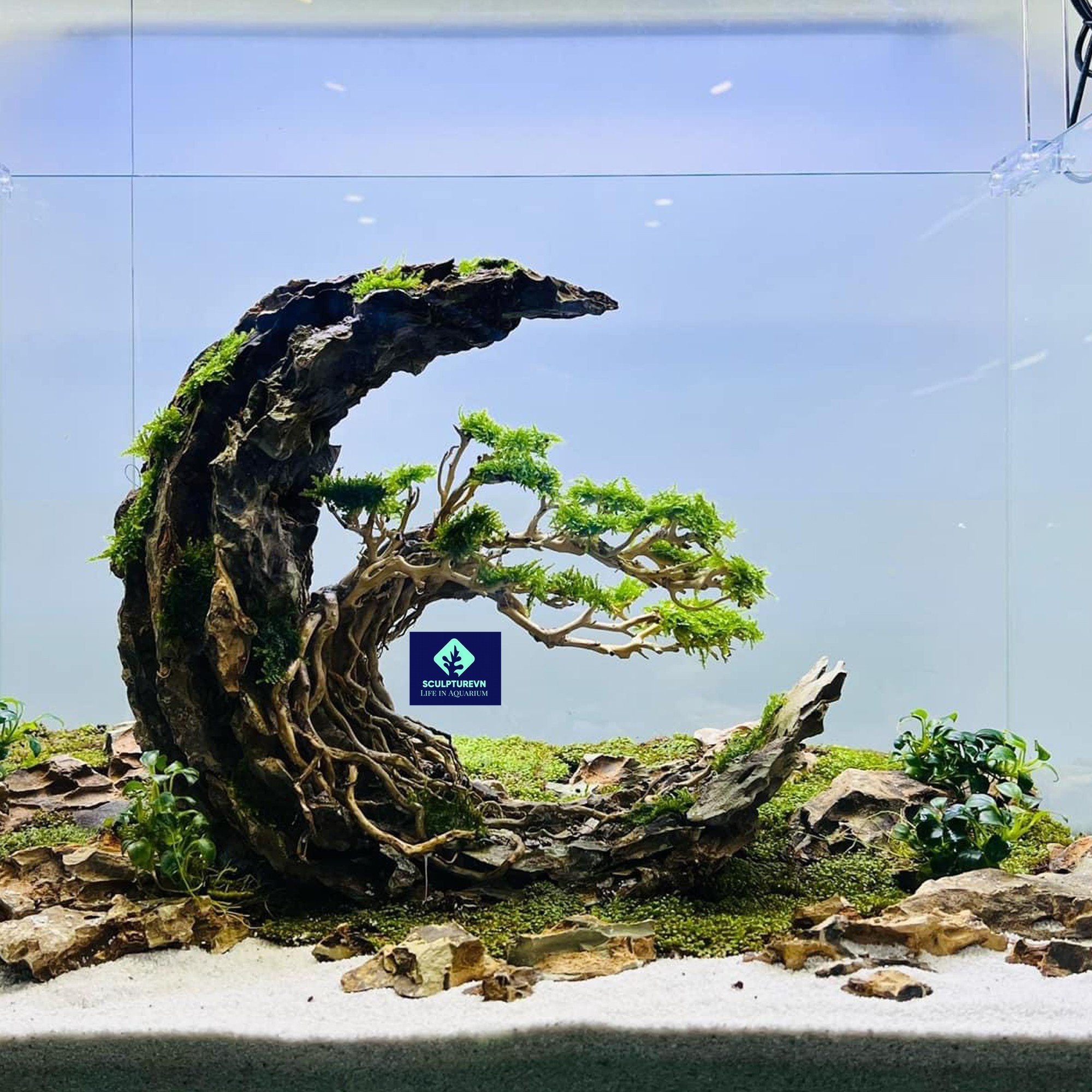 Driftwood Aquascape Tree: Fish Tank Aquarium Decor - Etsy