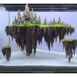 Driftwood Aquascape: Fly Island Aquarium Decor for Shrimp & Fish - Etsy