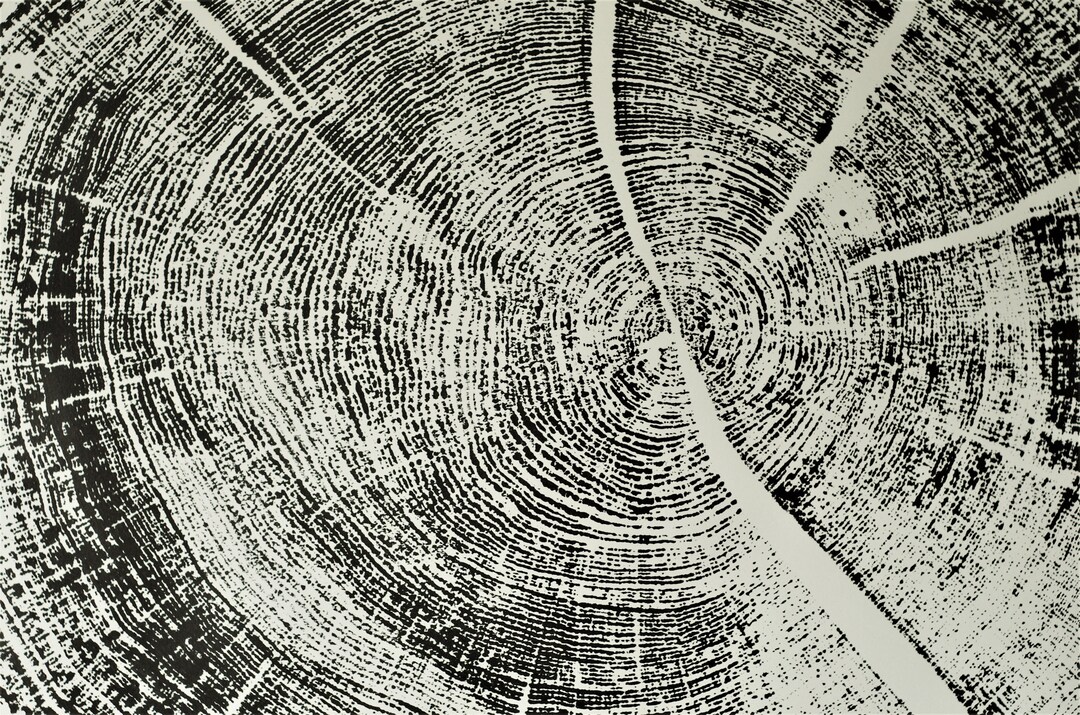 Tree Ring Print, Holz Art, Woodcut Print, Oak Print, European Trees ...