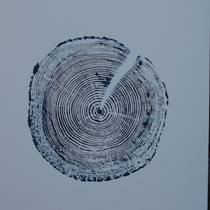 Eastern White Cedar Tree Ring Print, Charming Print, Blue Ink, 30x40 Cm ...