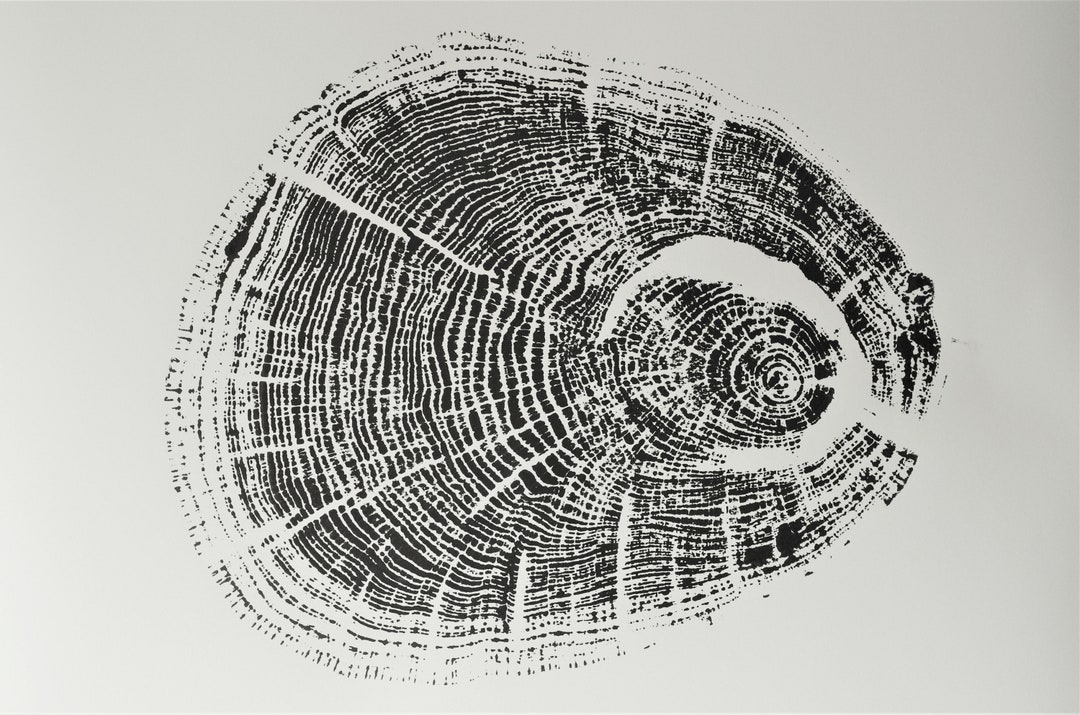 Signed Oak Tree Ring Woodcut Print: Black Ink Nature Reflection (20x20 ...