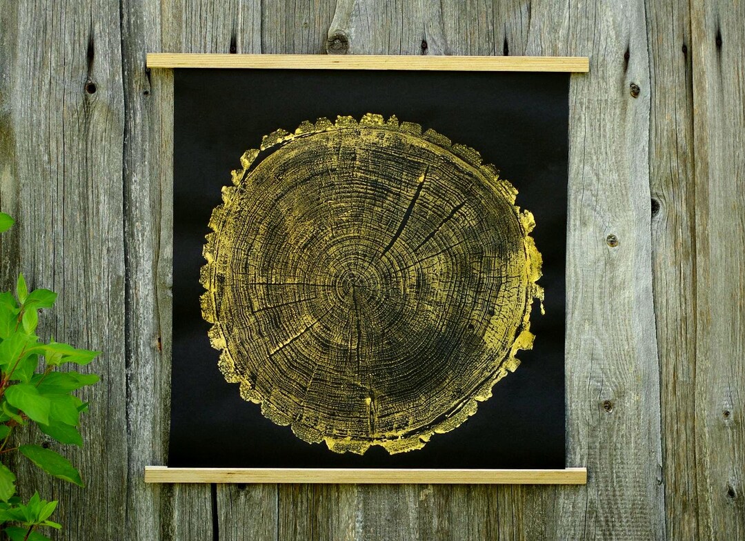 Signed White Poplar Tree Slice Art Print: Golden Ink Woodcut (28x28) - Etsy
