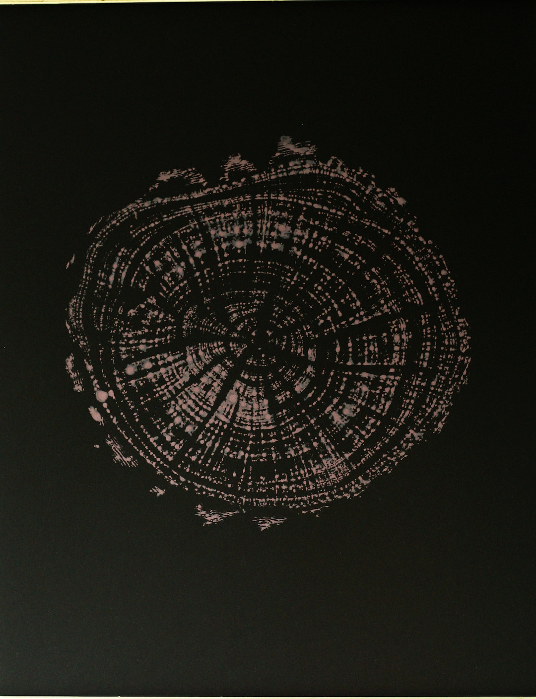 Tree Ring Print, Woodcut Print, Oak Print, European Trees Print, Ink ...