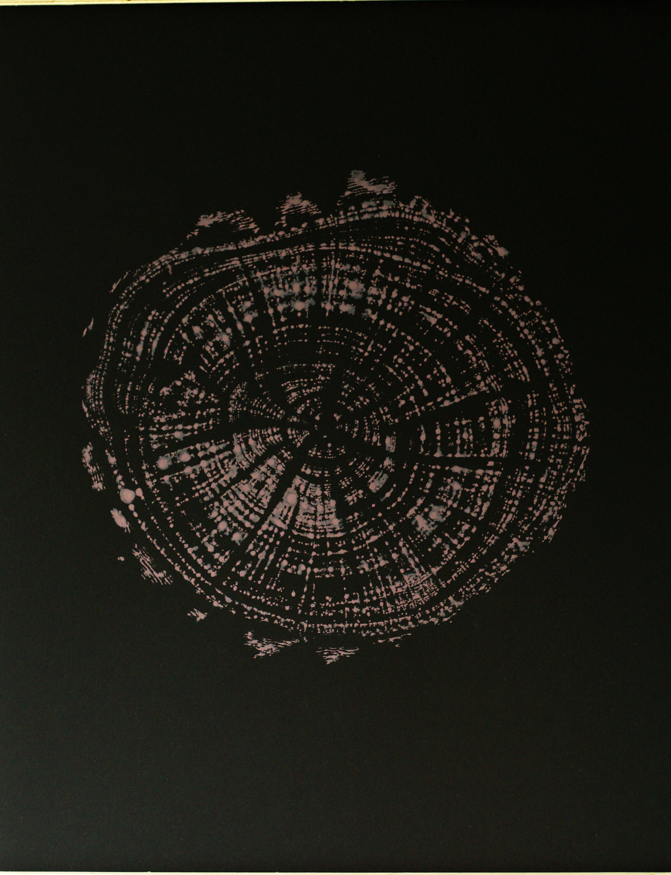 Tree Ring Print, Woodcut Print, Oak Print, European Trees Print, Ink ...