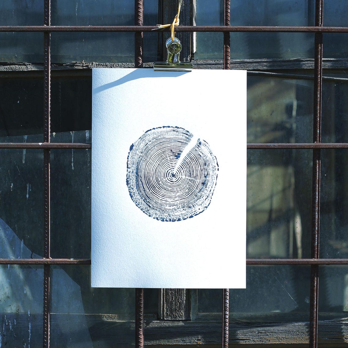 Eastern White Cedar Tree Ring Print, Charming Print, Blue Ink, 30x40 Cm ...