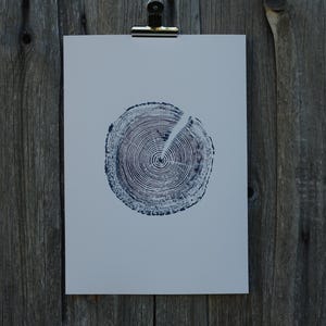 Eastern White Cedar Tree Ring Print, Charming Print, Blue Ink, 30x40 Cm ...