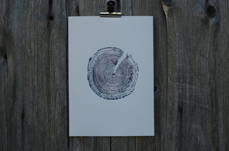 Eastern White Cedar Tree Ring Print, Charming Print, Blue Ink, 30x40 Cm ...