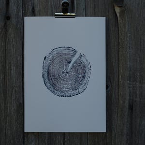 Eastern White Cedar Tree Ring Print, Charming Print, Blue Ink, 30x40 Cm ...