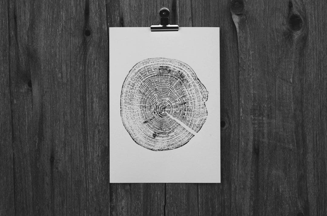 Tree Stump Painting for Woman Scots Pine European Collection Inspired ...