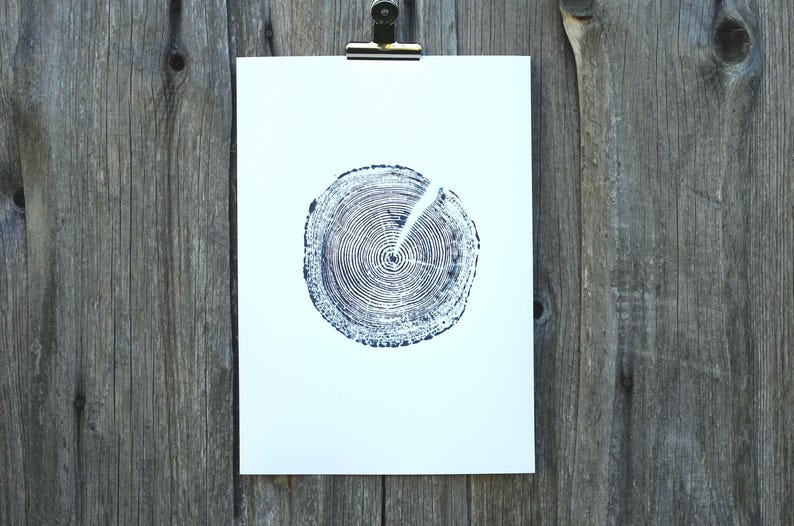 Eastern White Cedar Tree Ring Print, Charming Print, Blue Ink, 30x40 Cm ...