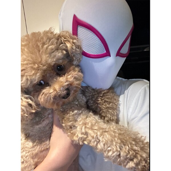 Gwen Stacy Spiderman Mask - Etsy