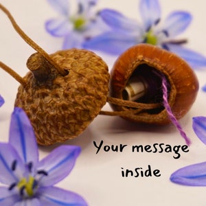 Acorn Locket | Acorn Necklace | Druid Necklace | Hidden Message ...