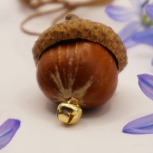 Acorn Locket | Acorn Necklace | Druid Necklace | Hidden Message ...