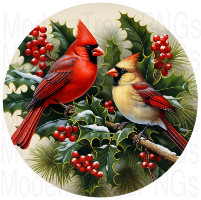 Cardinals Christmas Holly Round Png Sublimation Digital Design Download ...