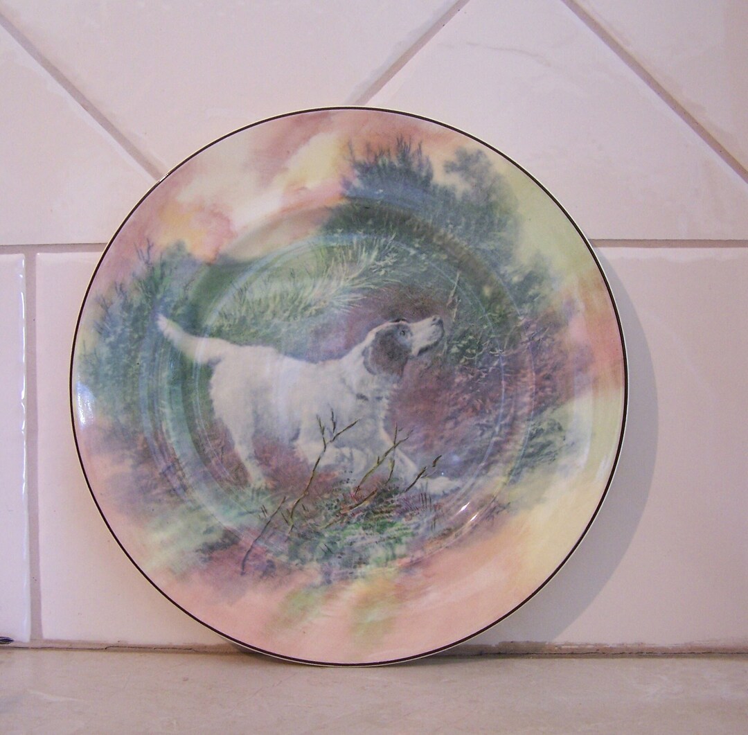 Vintage Royal Doulton Dog Series Display Plate D6313 English Setter - Etsy