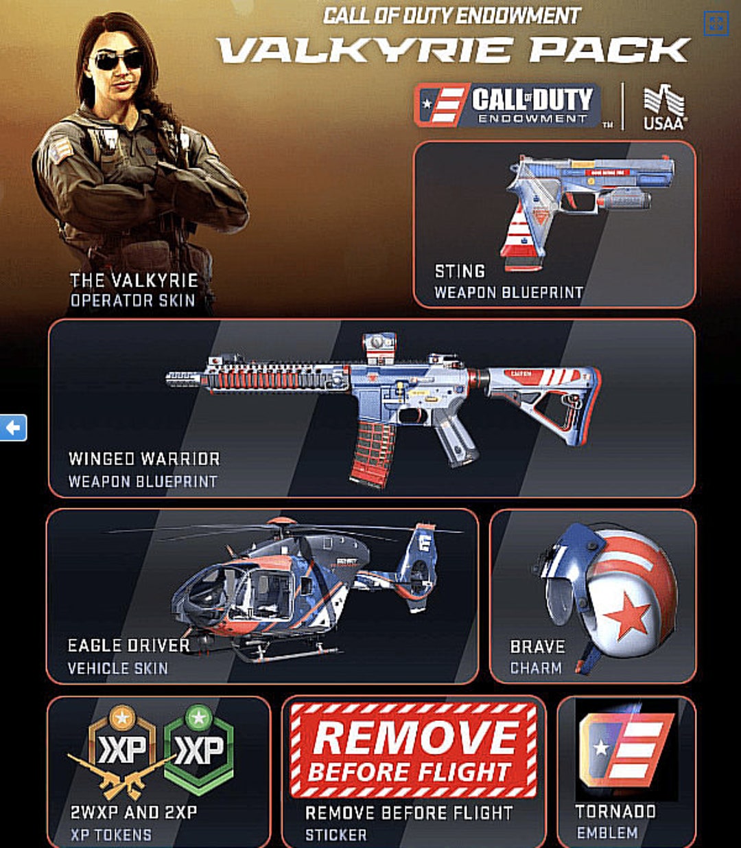 BUNDLE VALKYRIE PACK Cod MW2 - Etsy