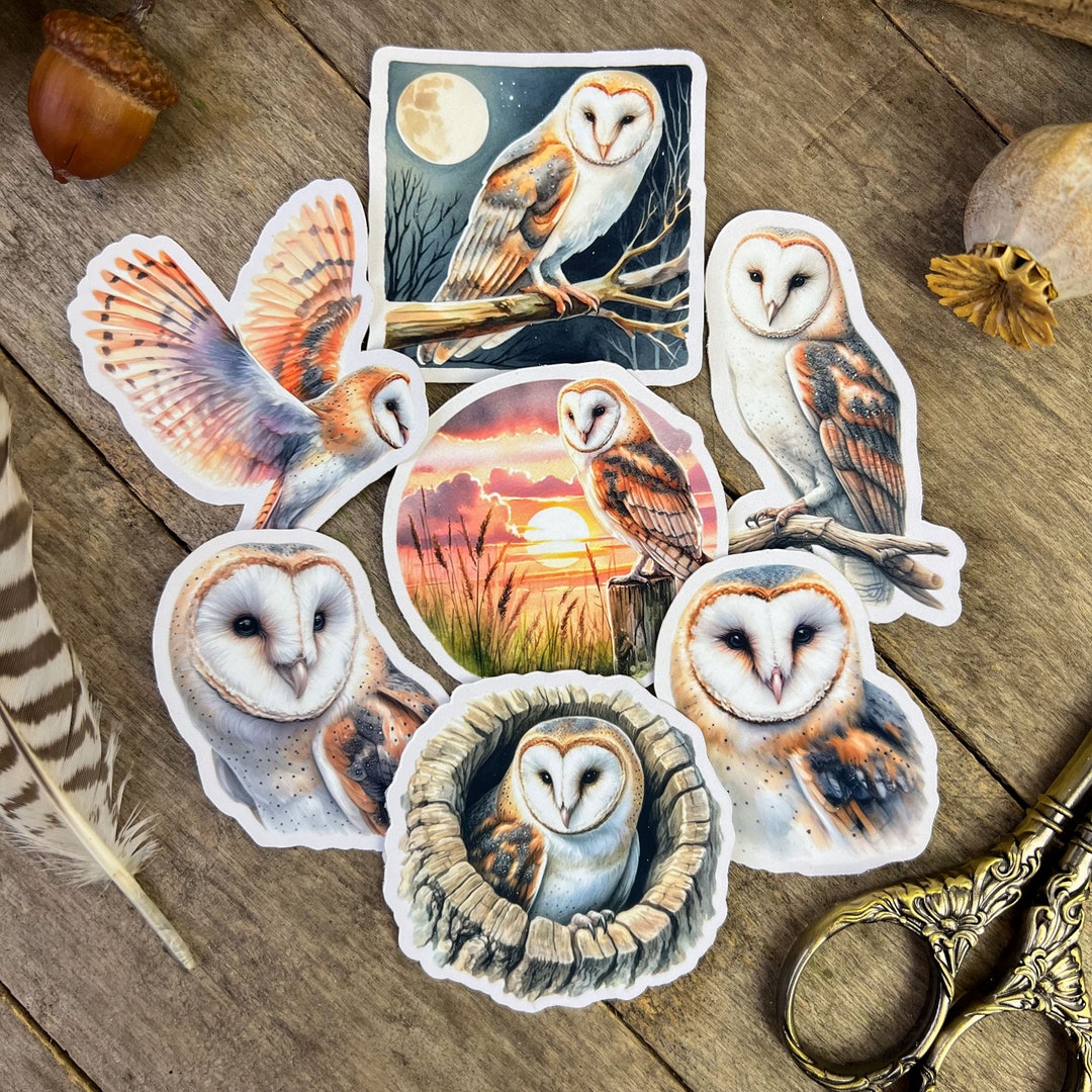 Barn Owl Sticker Pack, Stickers for Journal, Laptop Stickers, Gift for ...