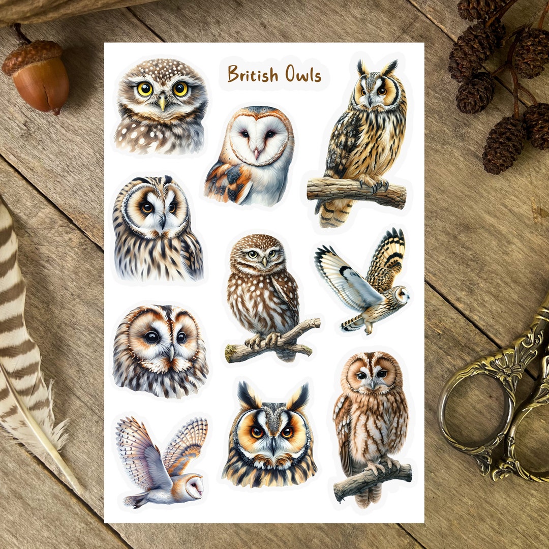 British Owls Sticker Sheet, British Owls Sticker Sheet, Stickers for ...
