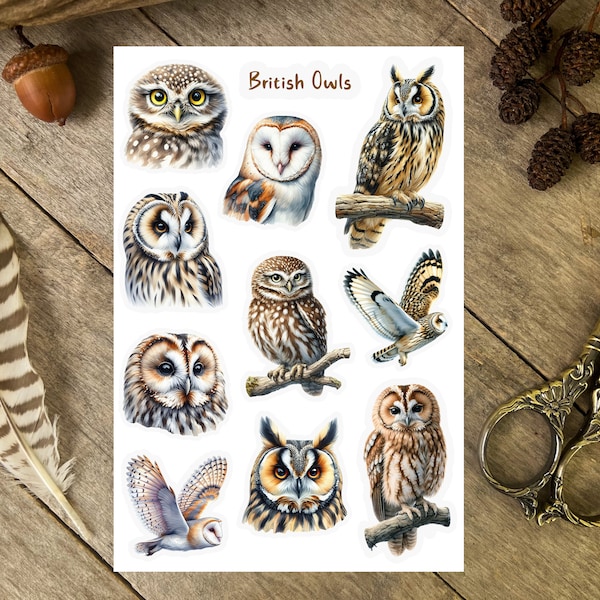 Owl Sticker - Etsy UK
