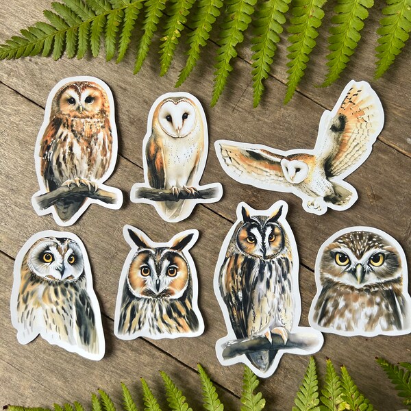 Owl Sticker - Etsy UK