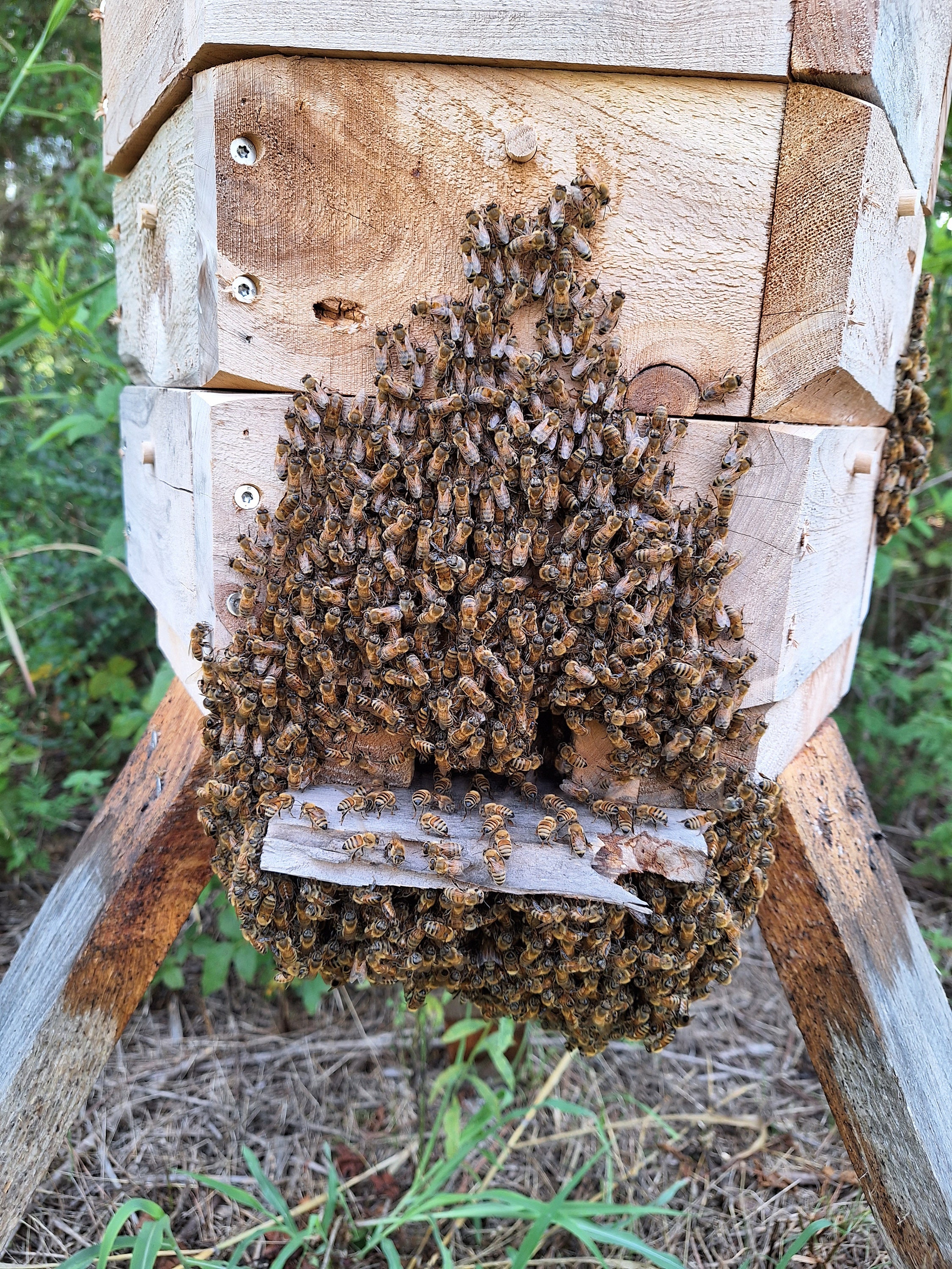 NICARAO PERONE BEEHIVE Pure Eastern Red Cedar Bee Hive, Frameless, All ...