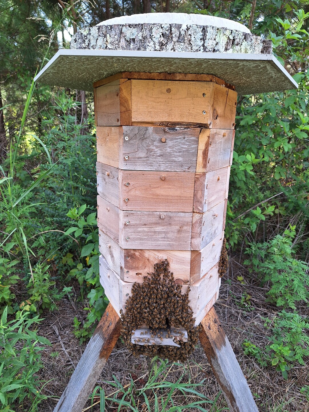 NICARAO PERONE BEEHIVE Pure Eastern Red Cedar Bee Hive, Frameless, All ...