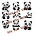 Panda Svg, Cute Panda Svg, Baby Panda Svg, Panda Bear Svg, Panda ...