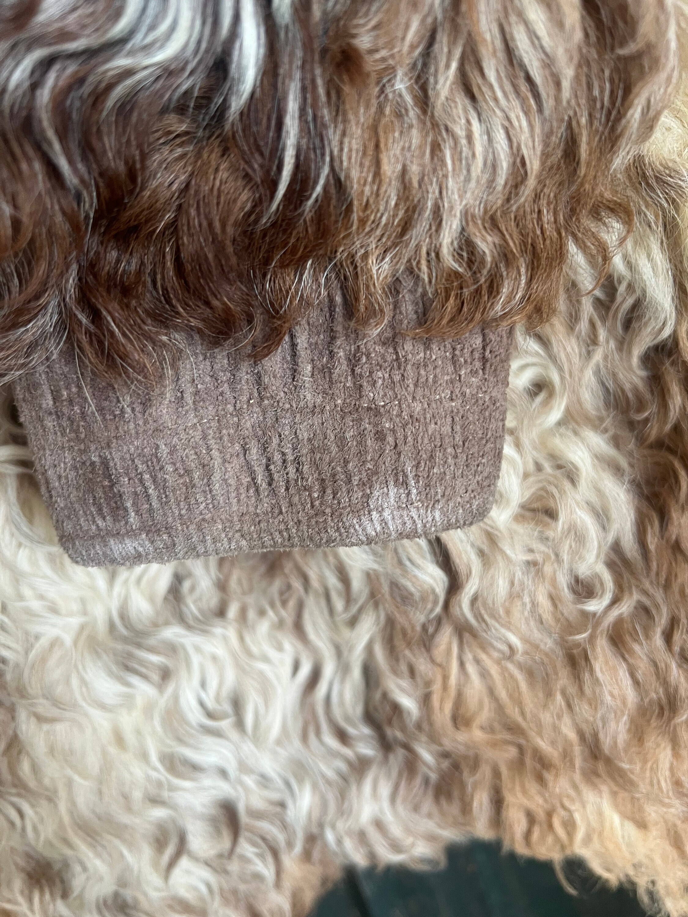 Vintage Mongolian Lamb Curly Fur Coat Cownie With Hood - Etsy