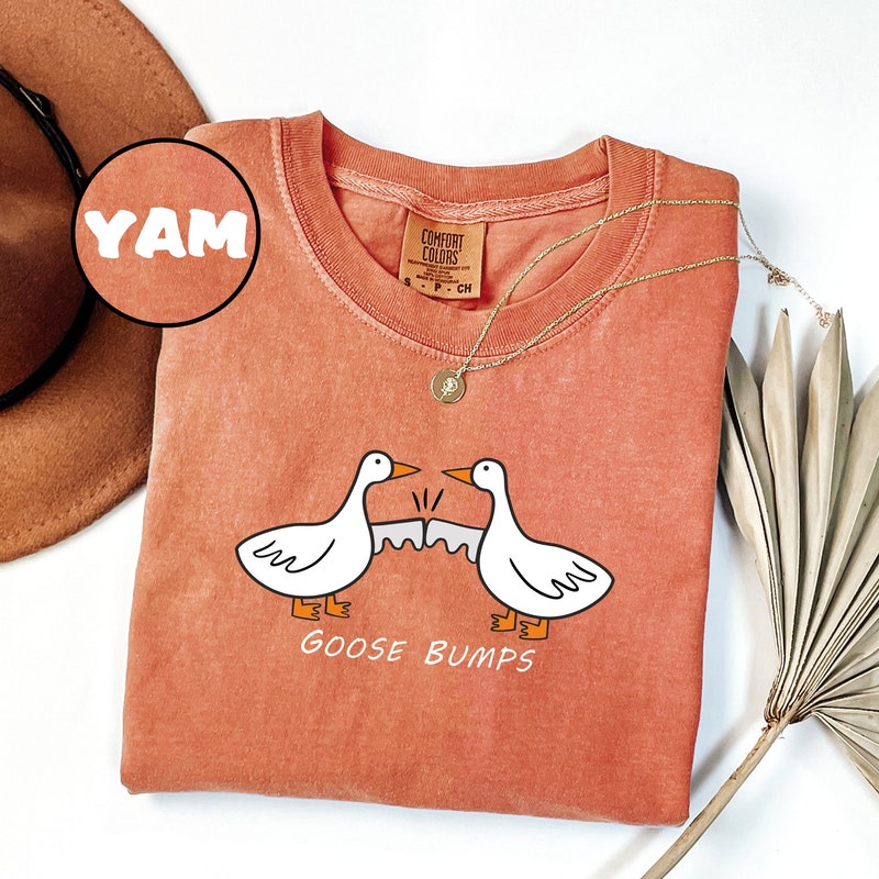 Tshirts Silly T Shirts - Etsy