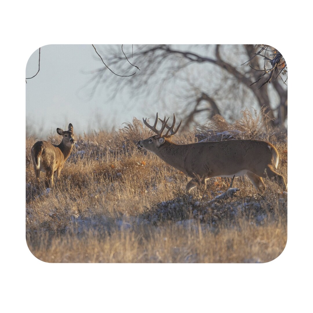 Mouse Pad Whitetail Buck Deer Hunting (rectangle) - Etsy