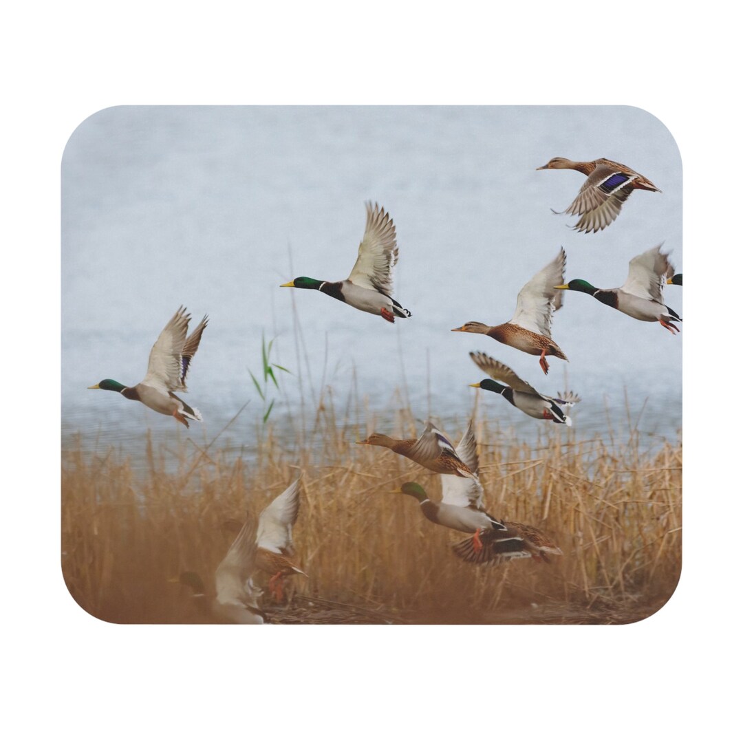 Mouse Pad Mallard Ducks in Flight Green Heads Duck Hunting (rectangle ...