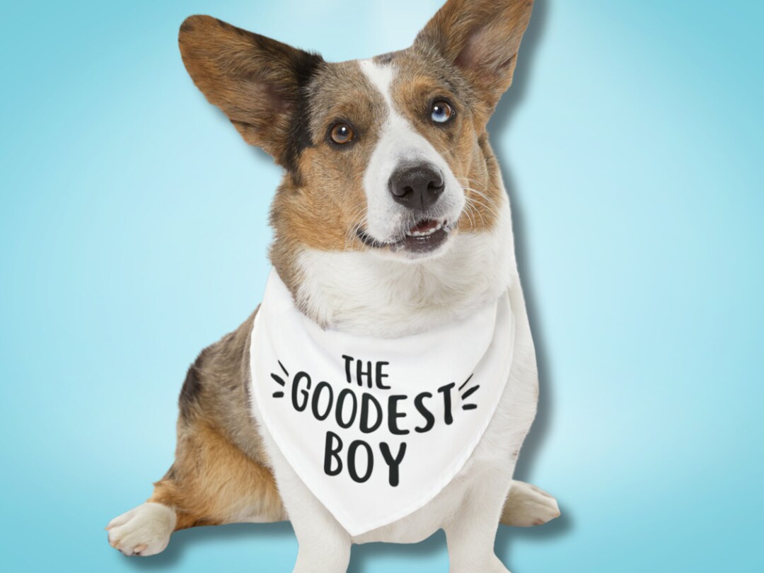 The Goodest Boy Funny Dog Bandana Collar, Cute Funny Pet Bandana Scarf ...