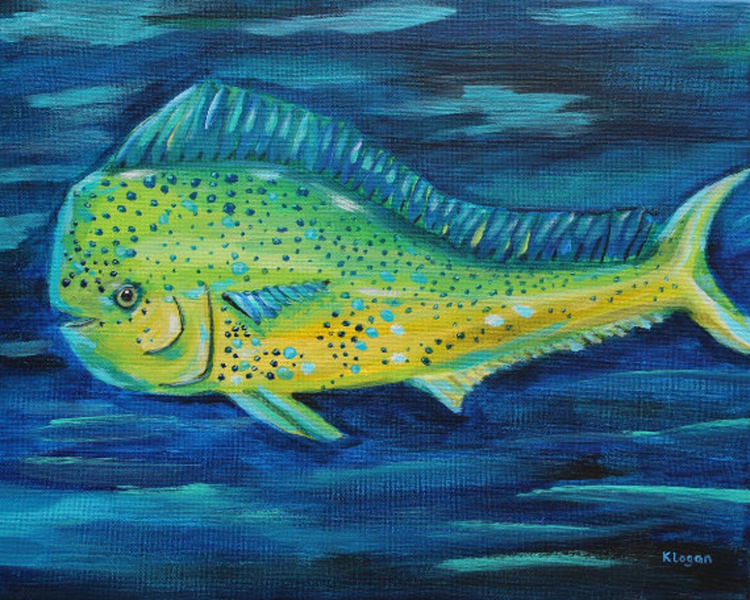 Matted Print of Mahi Mahi Fish little Dorado Original - Etsy