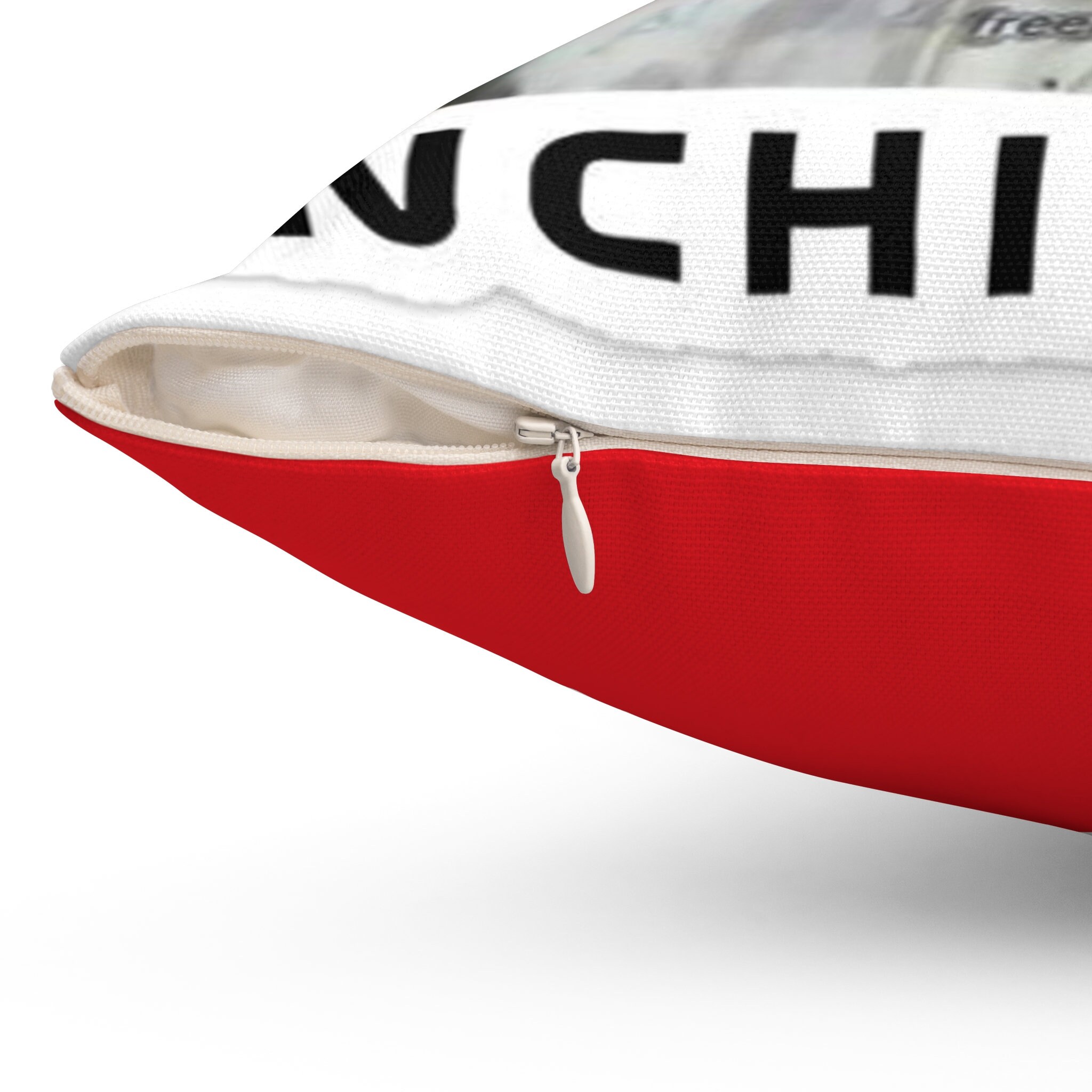 F1 Leclerc Meme Pillow - Etsy