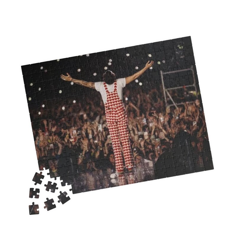 Harry Styles Puzzle - Etsy UK
