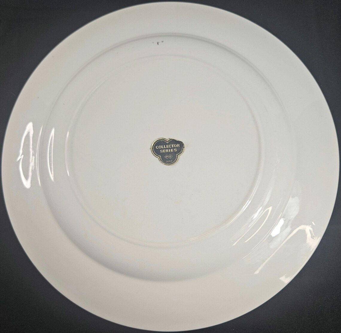 New York City Vintage Collector Series 10 Memorial Souvenir Plate ...