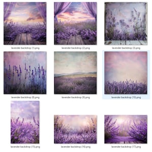 LAVENDER FIELD BACKDROPS, Digital Backgrounds Bundle, Spring Flowers ...