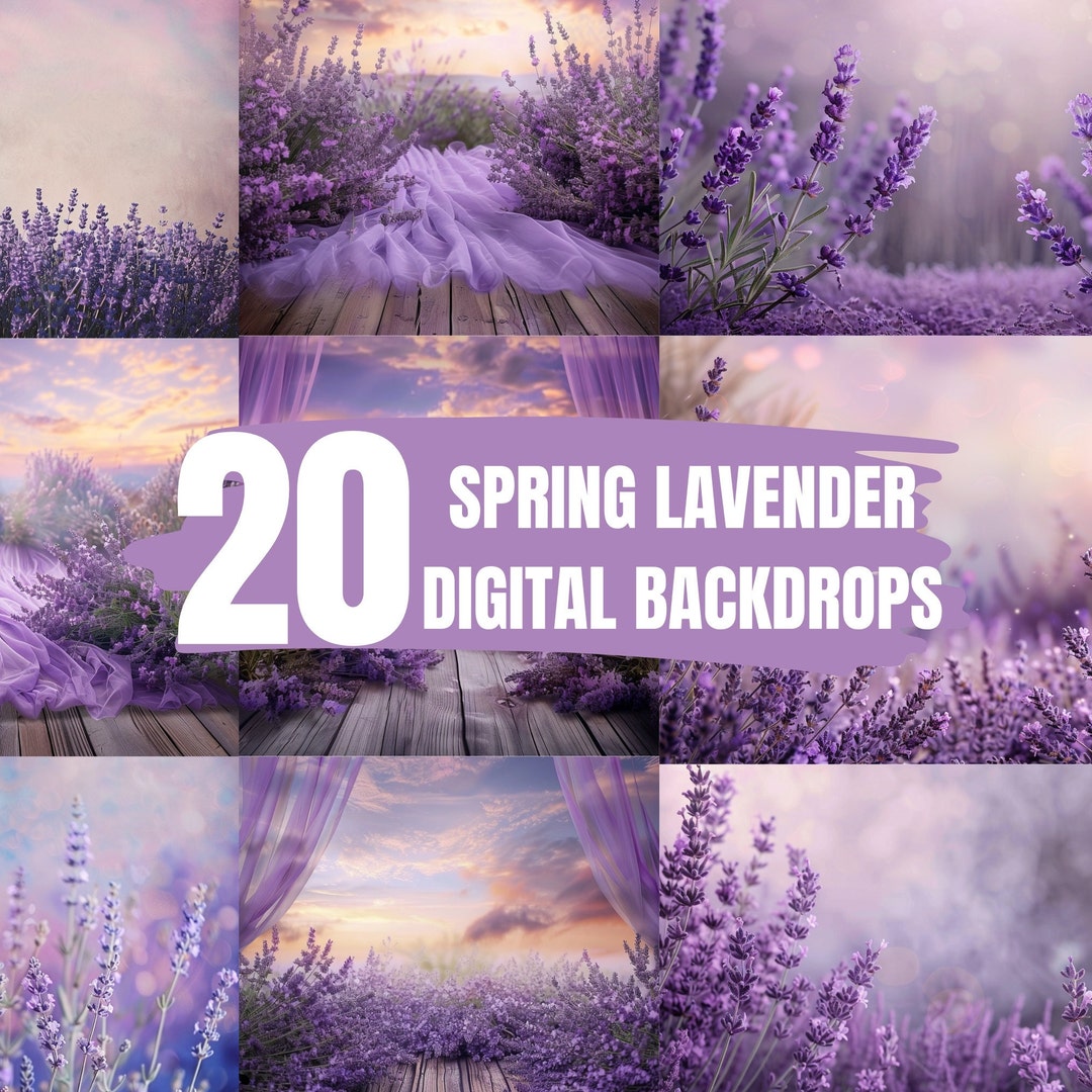 LAVENDER FIELD BACKDROPS, Digital Backgrounds Bundle, Spring Flowers ...