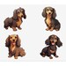 Long Haired Dachshund Sticker Sheets, Weiner Dog Stickers - Etsy