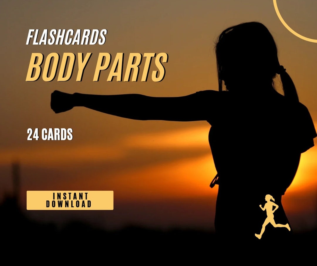 Human Anatomy Flashcards: Essentials for Kids - Etsy