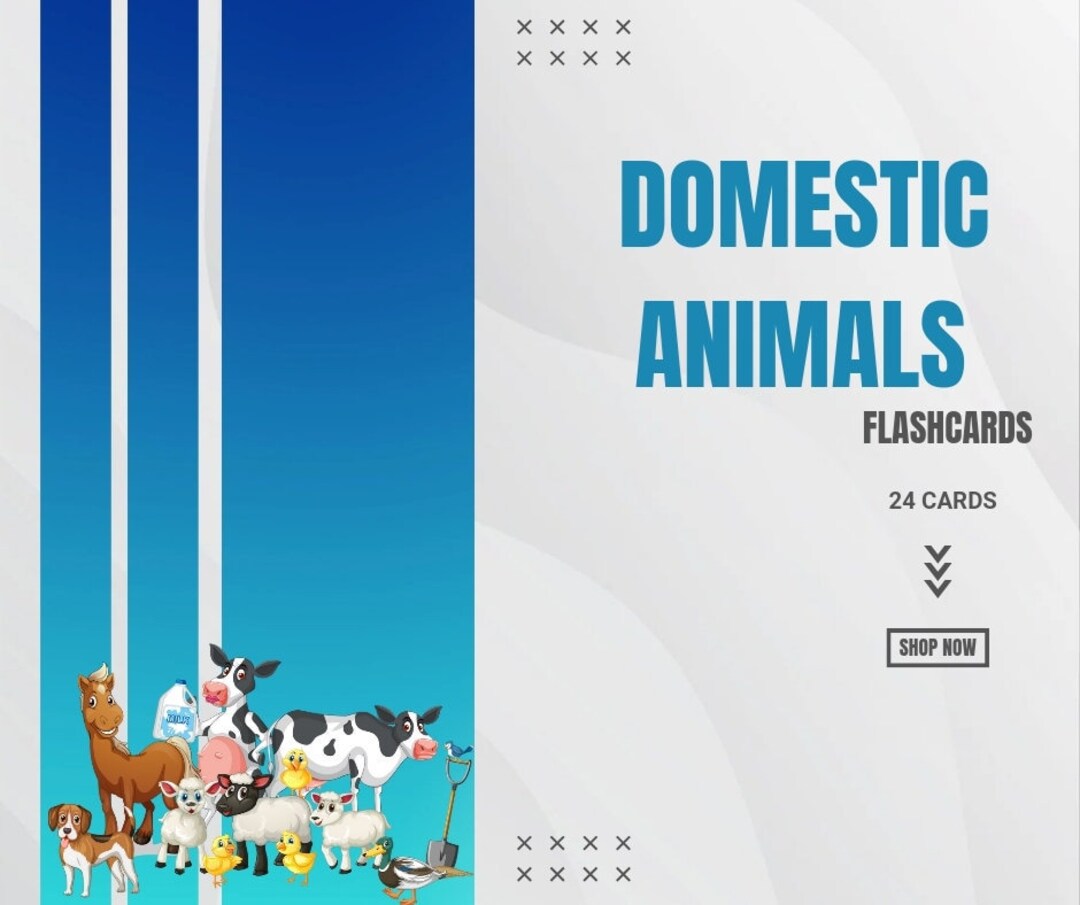 Adorable Domestic Animals Flashcards - Etsy